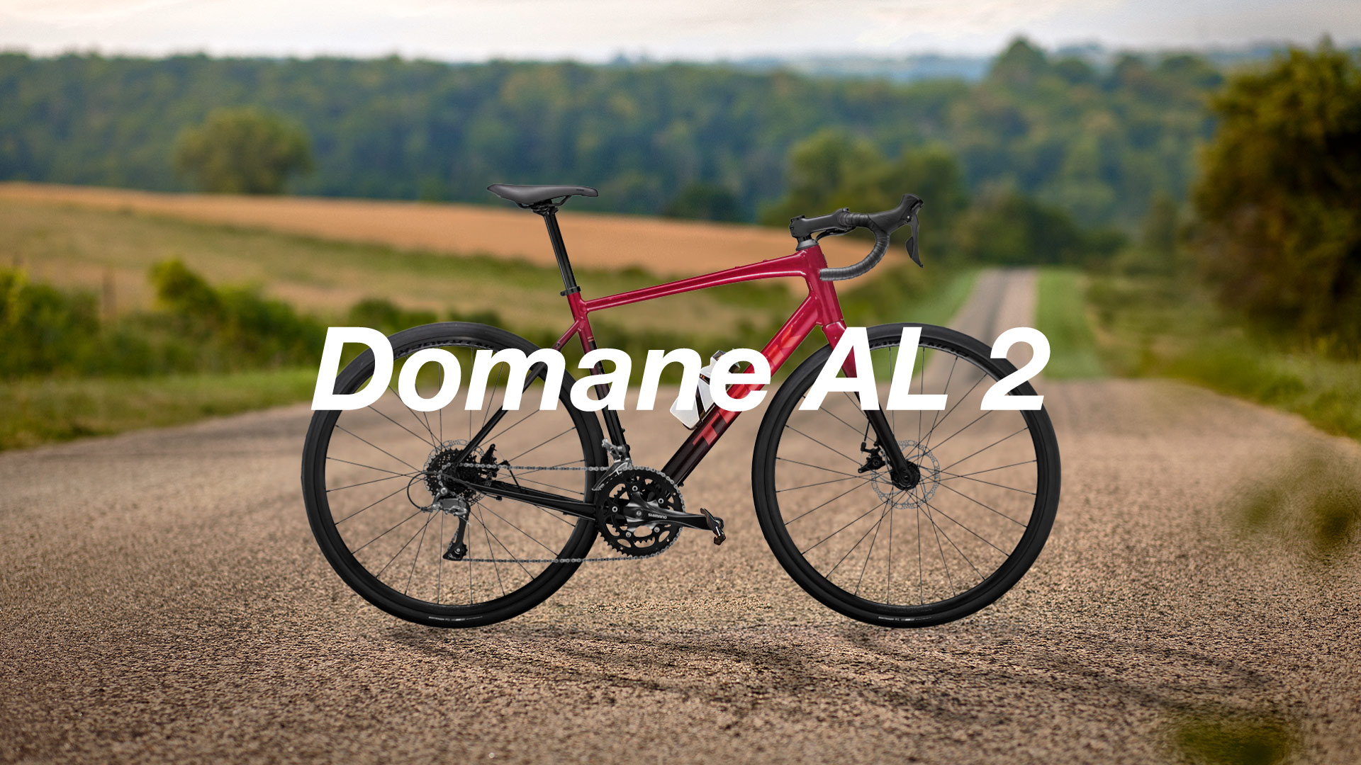 初めてのロードバイクに最適！TREK Domane AL 2を徹底解説 | 福島県郡山市のロードバイククロスバイク専門店｜サトー サイクル